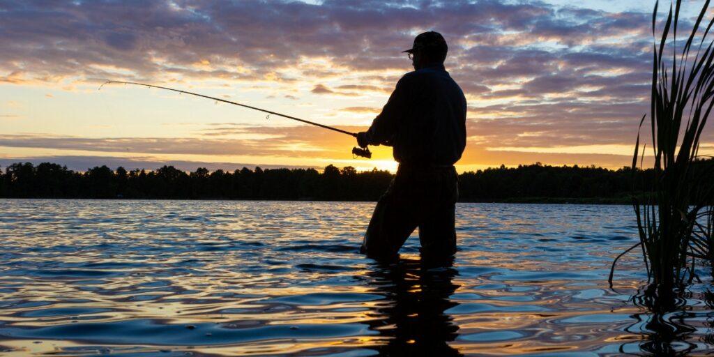 Tips for Stunning Fish Photography | Livestock Framing